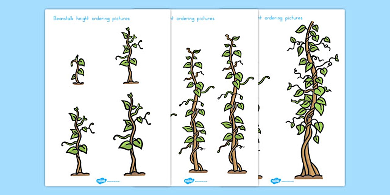Beanstalk Height Ordering Pictures (Teacher-Made) - Twinkl