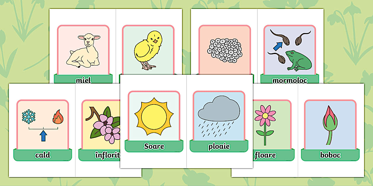 Primăvara – Cartonașe cu vocabular Twinkl Symbols (CES)