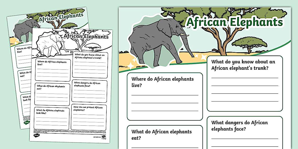African Elephants Fact File Template (teacher made) - Twinkl