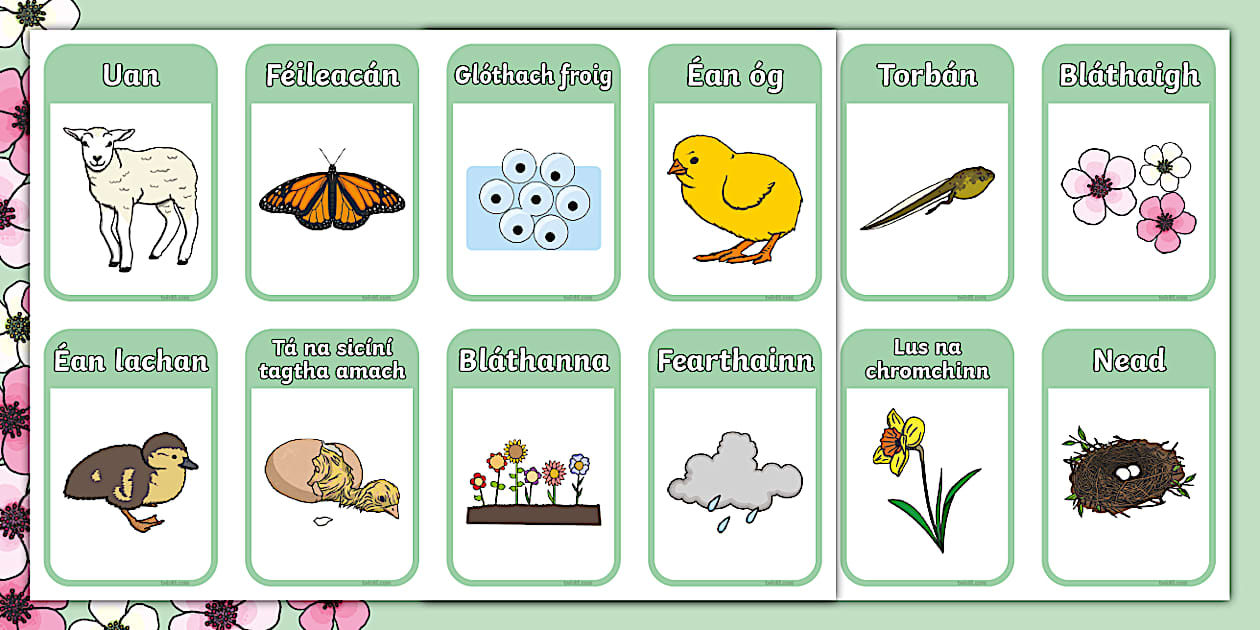 Spléachchártaí Pictiúir agus Focail an Earraigh - Twinkl