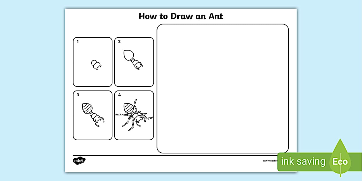 How to Draw an Ant Worksheet | Art and Drawing | Twinkl KS1