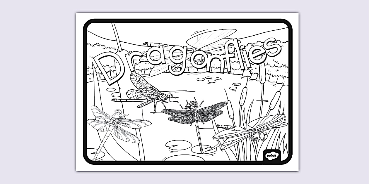 Dragonfly Colouring Display Poster (teacher made) - Twinkl