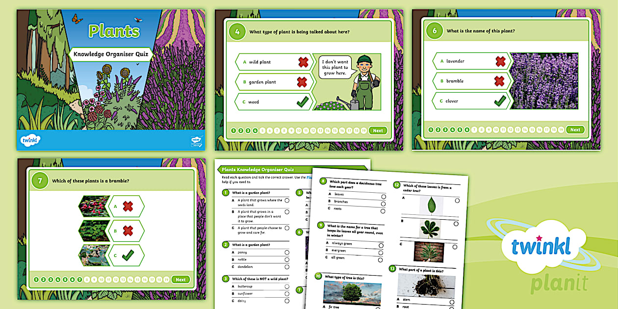Science: Plants: Year 1: Knowledge Organiser Quiz Pack
