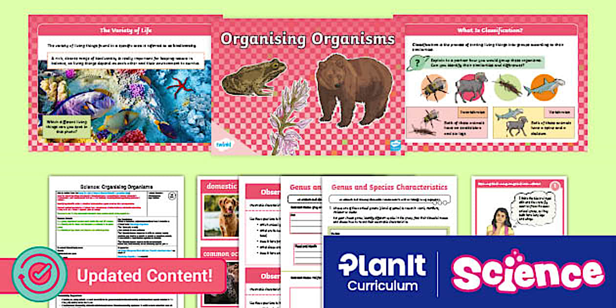 Y6 Living Things & Their Habitats Organising Organisms Lesson 1
