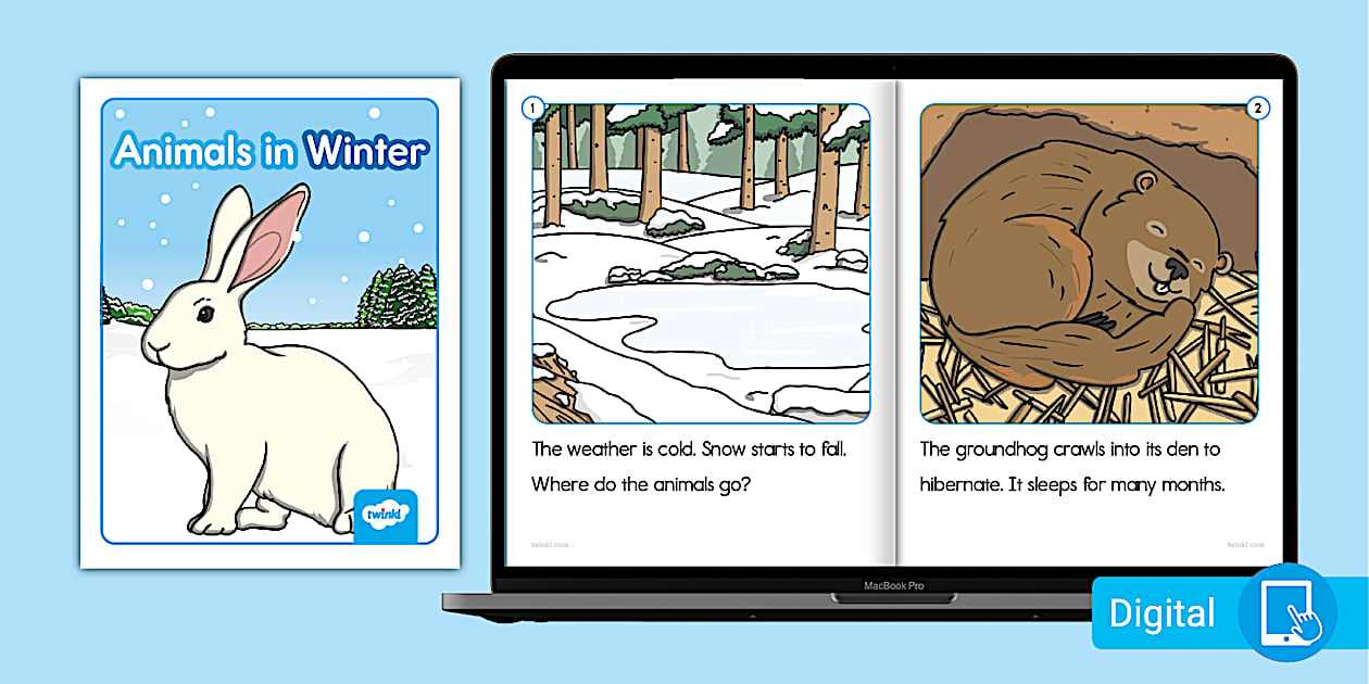 What Do Animals Do in Winter eBook | Resource | Twinkl USA