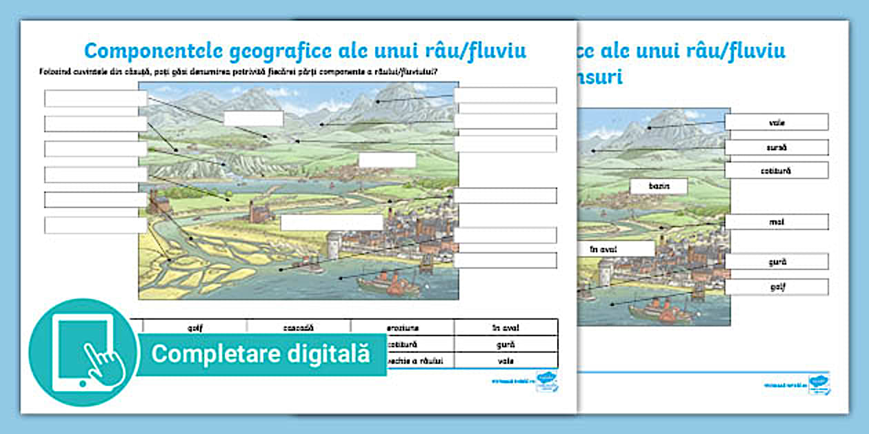 Componentele geografice ale unui râu/fluviu (teacher made)