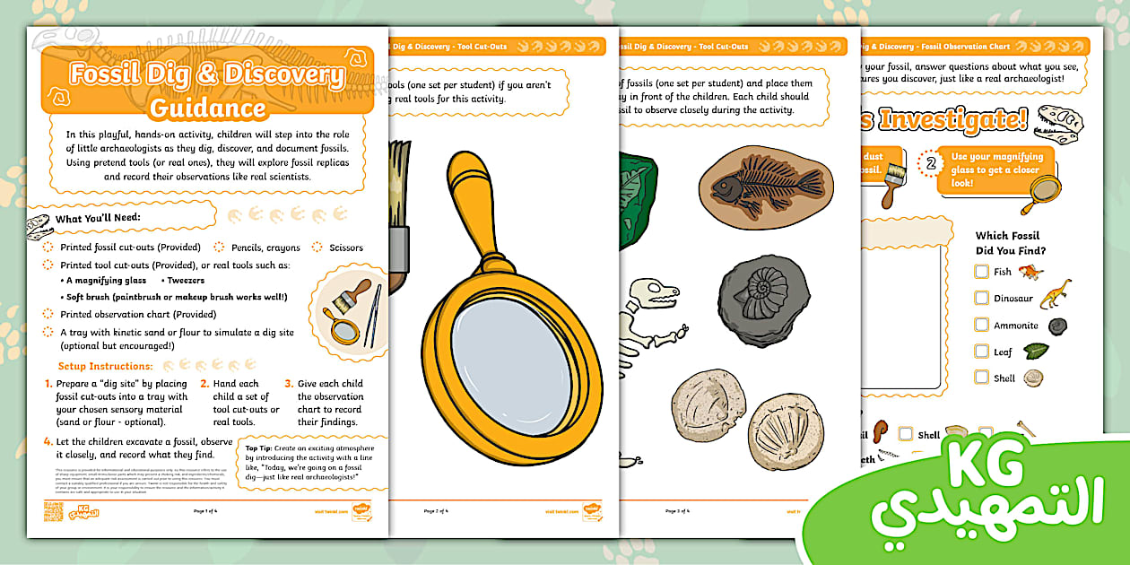 Fossil Dig & Discover Activity for EYFS | Little Archaeologists for
