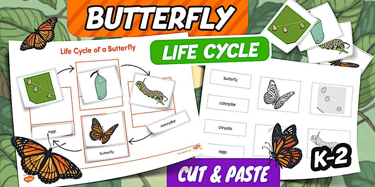 Life Cycle of a Butterfly Cut and Paste Worksheet for K-2nd Grade