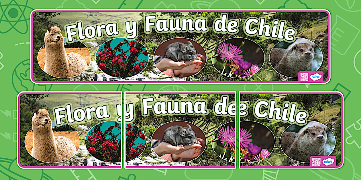 Cartel: Flora y Fauna de Chile (teacher made) - Twinkl