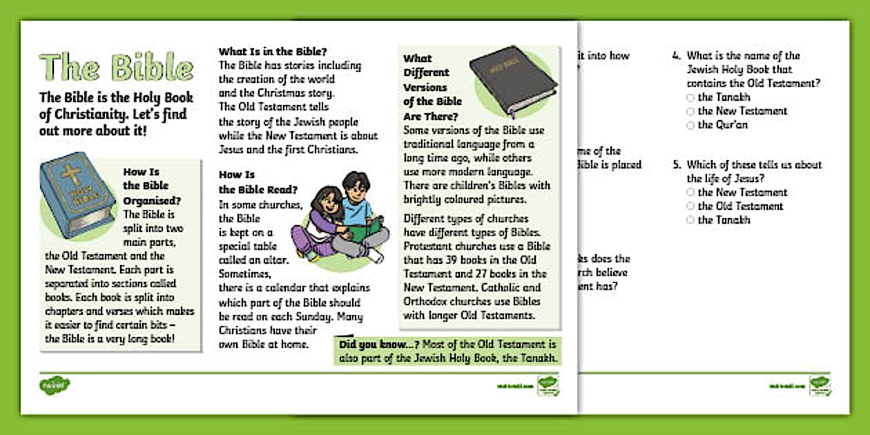 The Bible Fact File (teacher made) - Twinkl