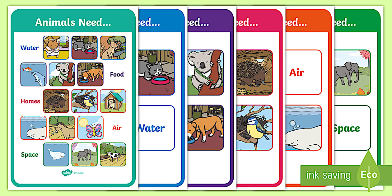 TAS Animals Needs Display Posters (teacher made) - Twinkl
