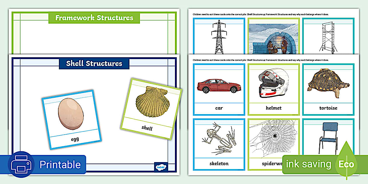 Shell or Framework Structures - Sorting Cards - Twinkl