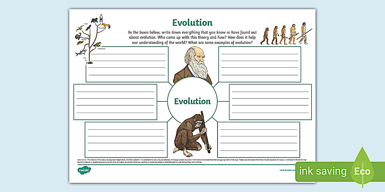 Evolution Mind Map (teacher made) - Twinkl