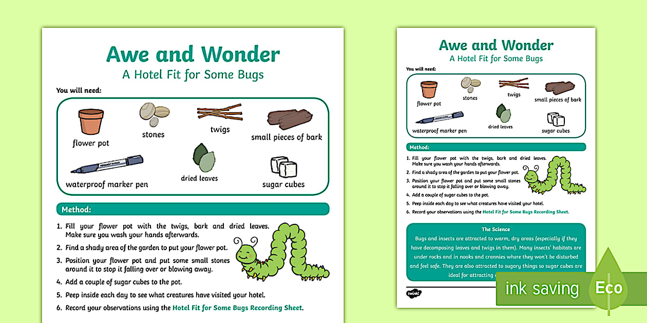 FREE! - KS1 A Hotel Fit for Some Bugs Investigation Activity