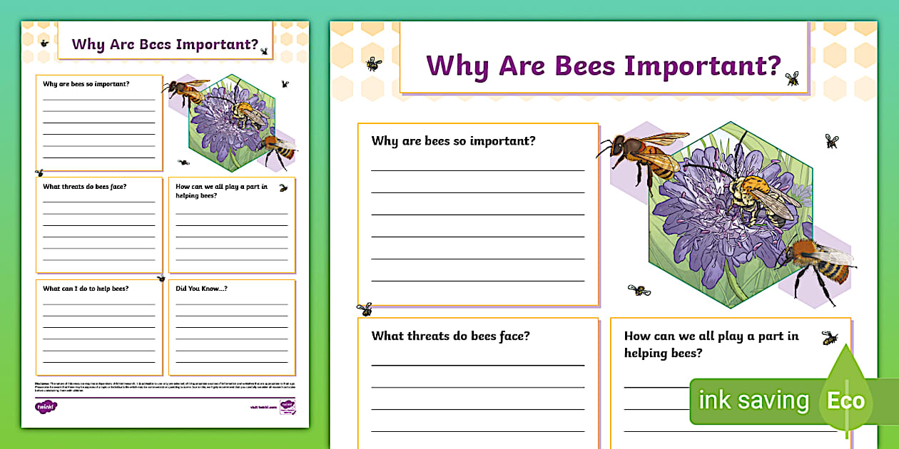 Why Are Bees Important? Fact File Template - Twinkl