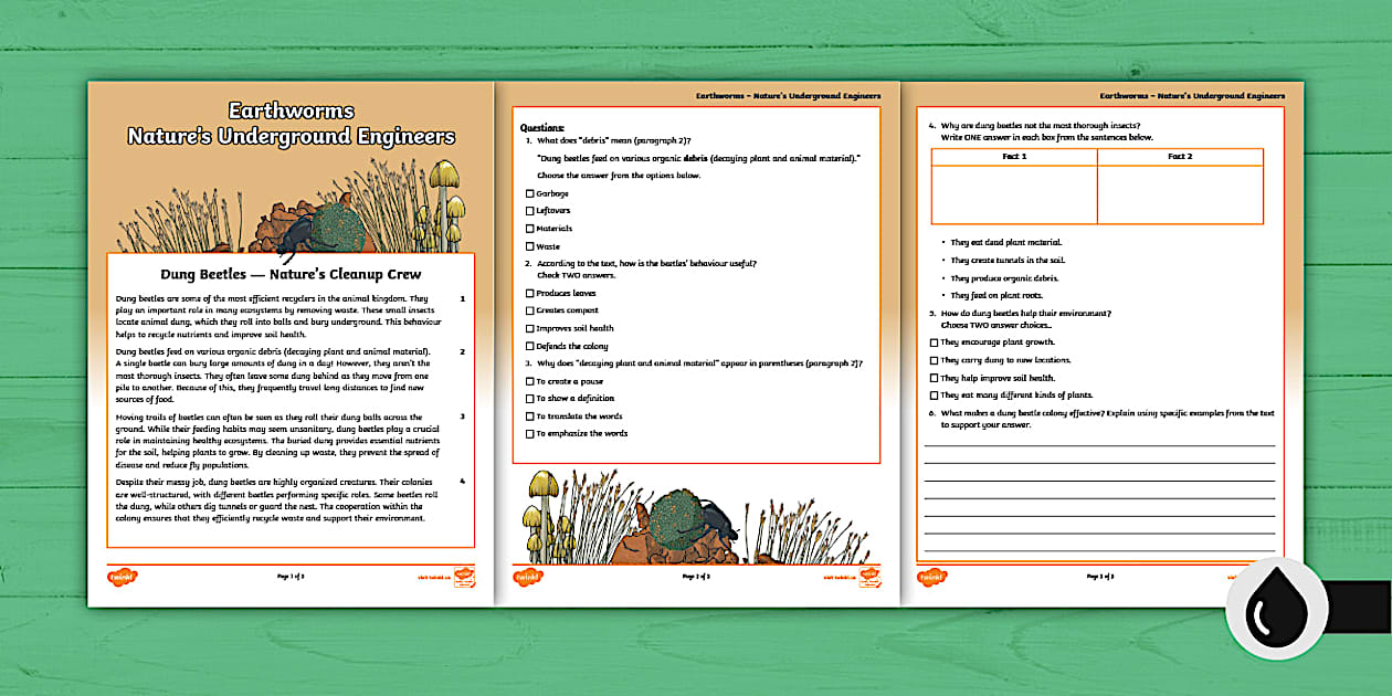 EQAO Grade 6 Literacy Prep Worksheet 1