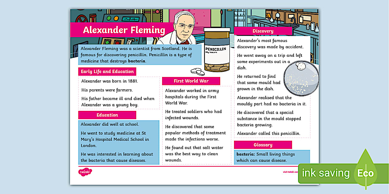 KS1 Alexander Fleming Fact File (teacher made) - Twinkl