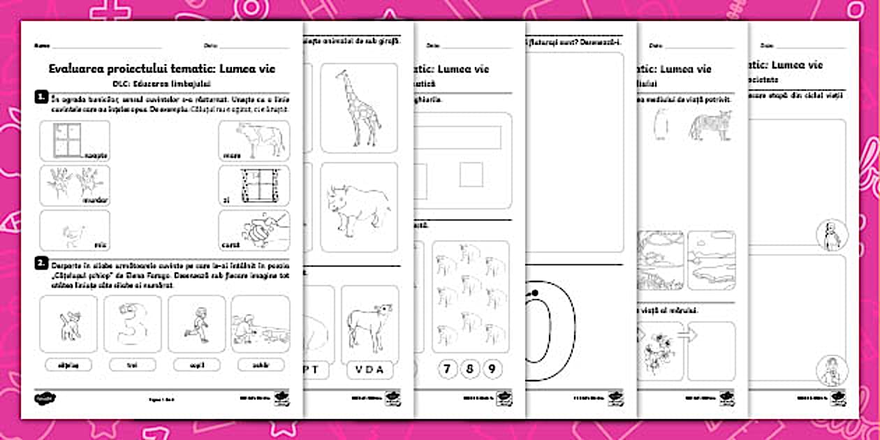 Evaluarea proiectului tematic Lumea vie grupa mare - Twinkl