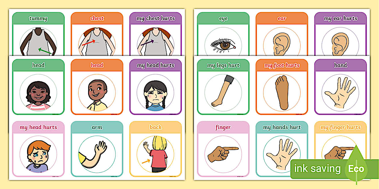 Parts Of The Body Communication Cards (teacher made)