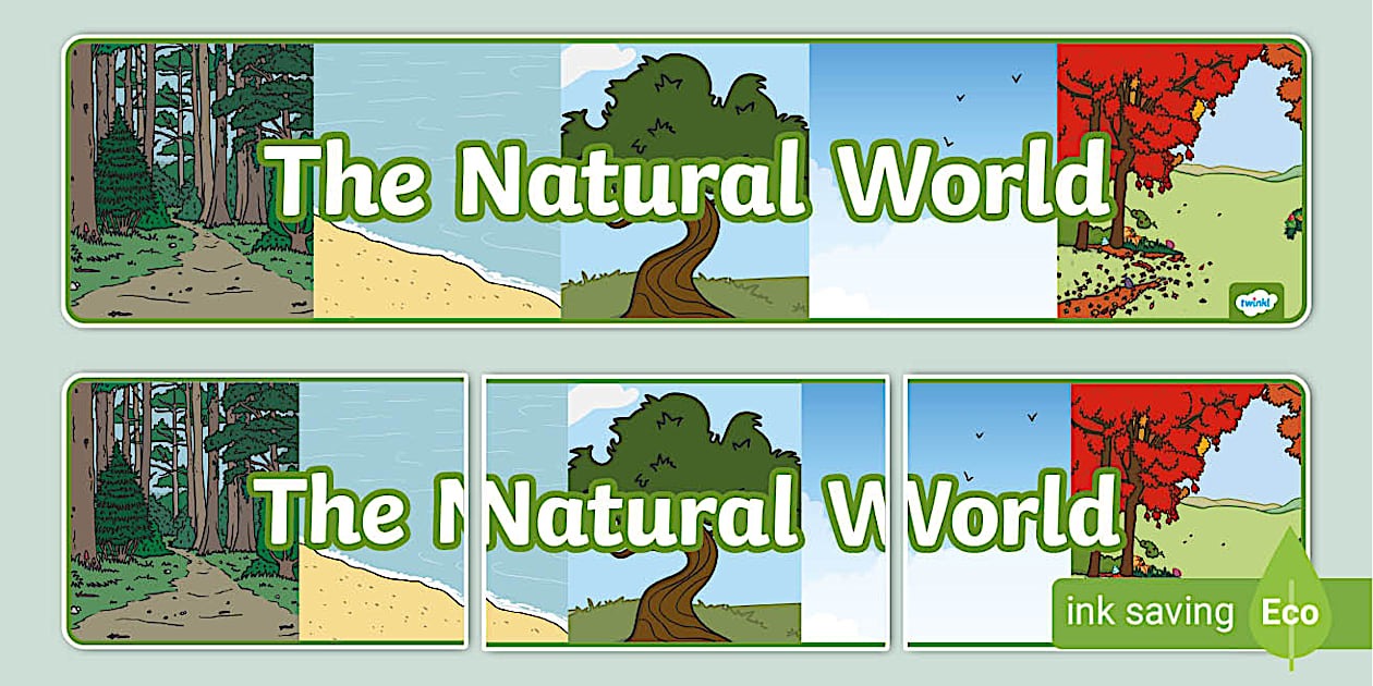 The Natural World Display Banner - Twinkl - KS1 - Twinkl