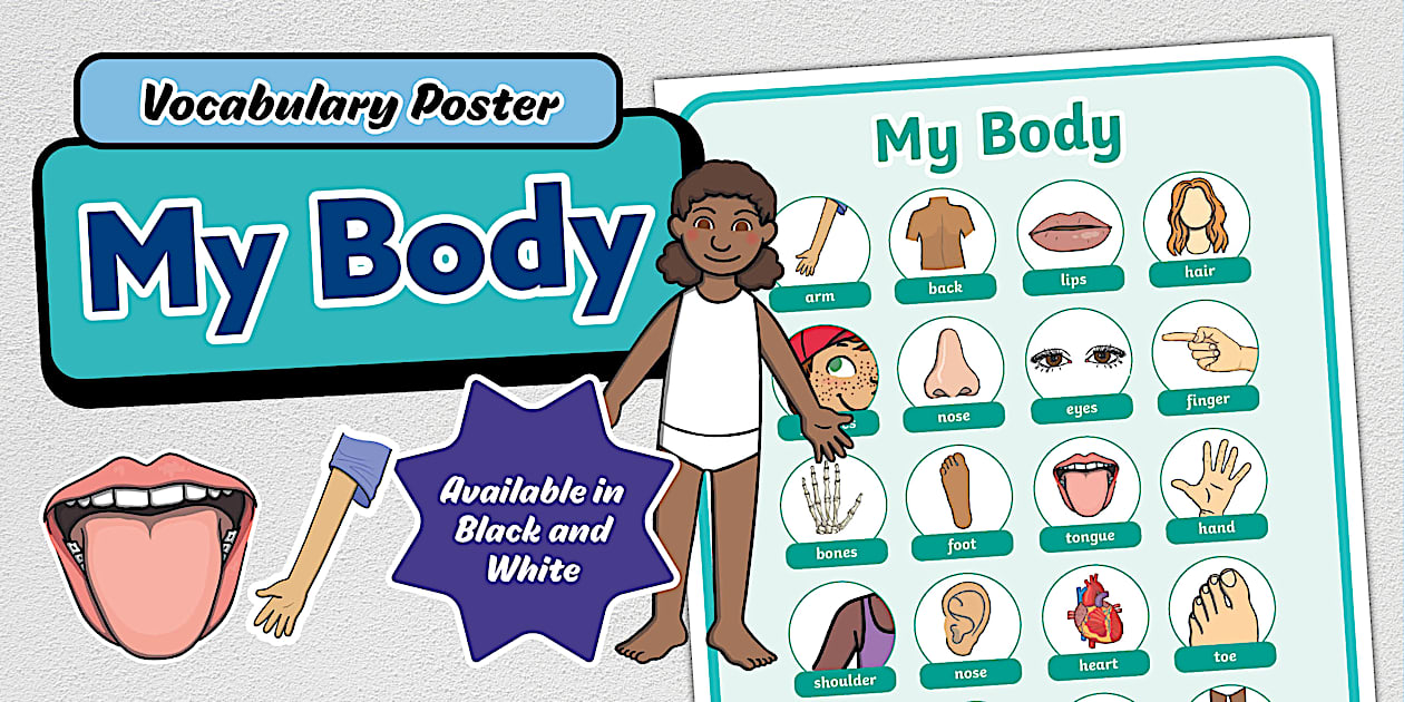 My Body Vocabulary Poster