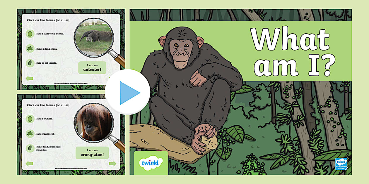 Jungle Animal Riddles What Am I Interactive PowerPoint Game