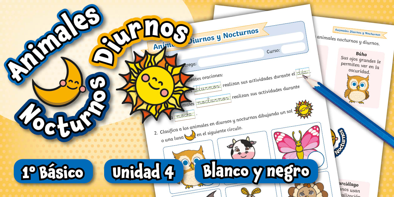 Guía | Trabajo | Animales | Diurnos | Nocturnos | 1° Básico