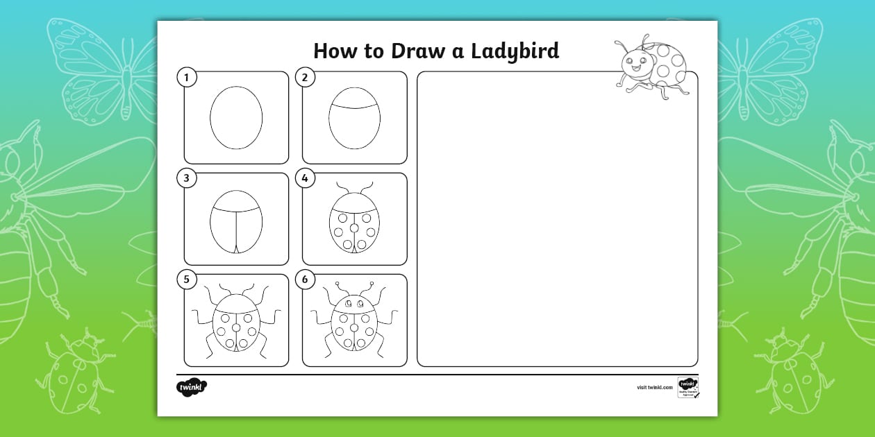 How to Draw a Ladybird Activity | Twinkl (teacher made)