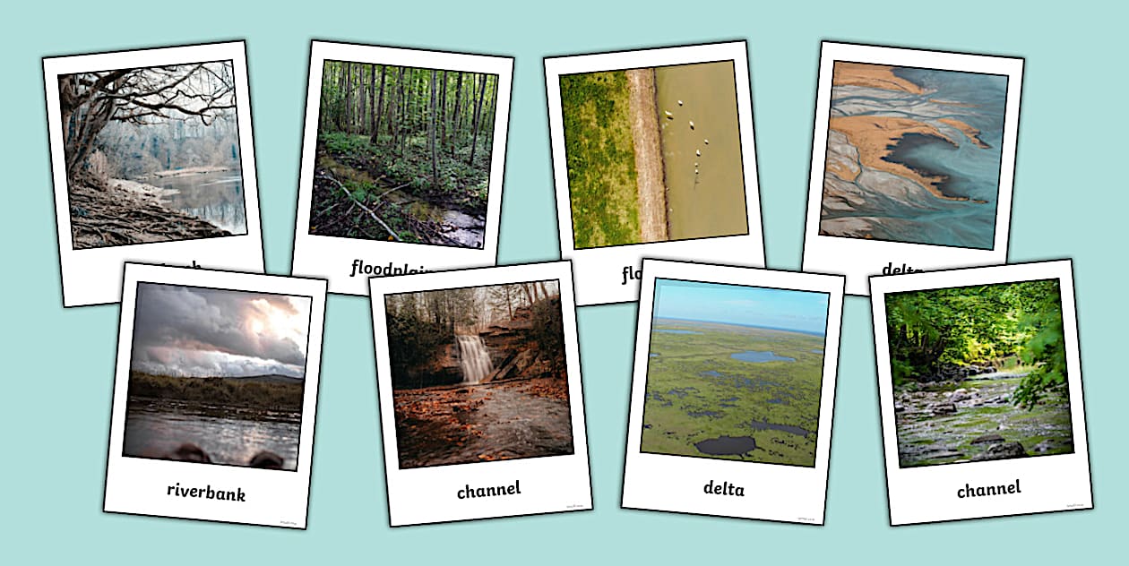 River Habitats Instant Photo Style Display Images - Twinkl