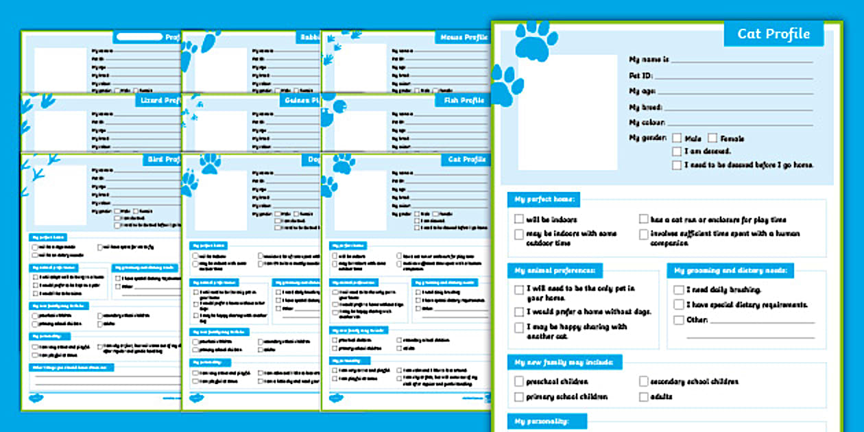 Pet Adoption Profiles (l'enseignant a fait) - Twinkl