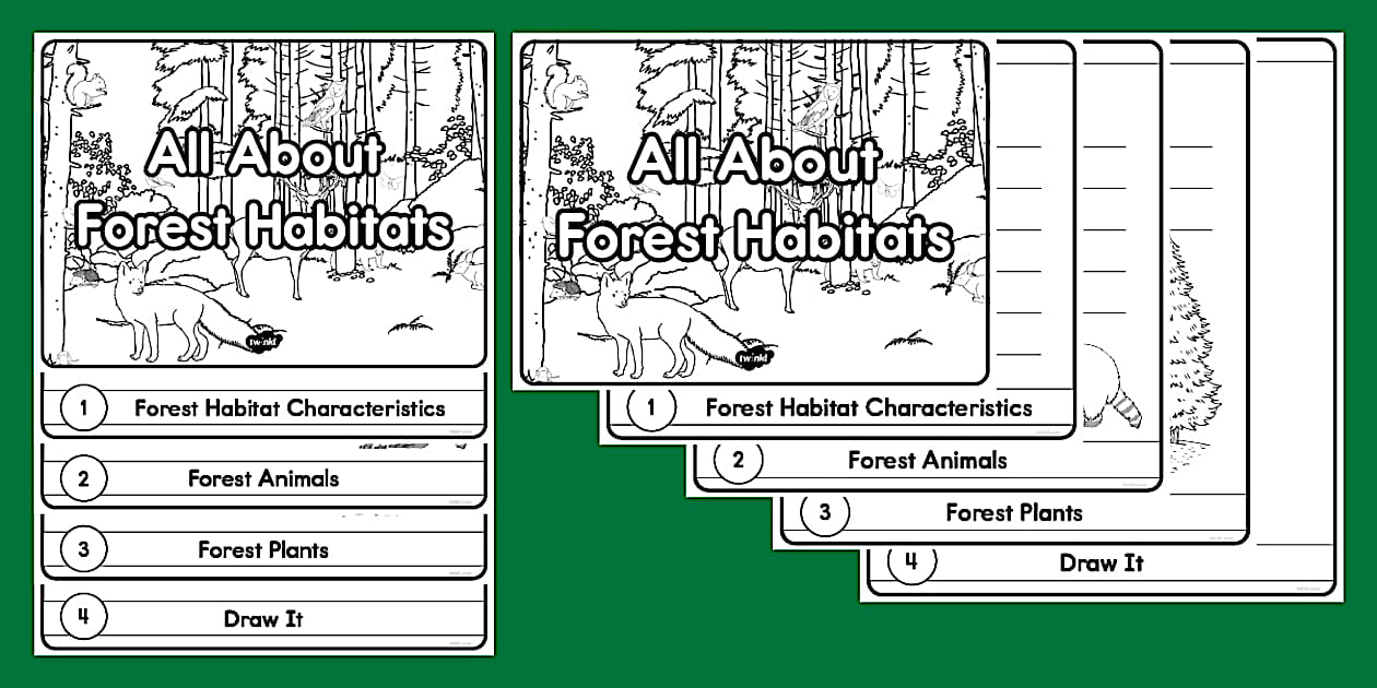 All About Forest Habitats Flipbook for K-2nd Grade - Twinkl
