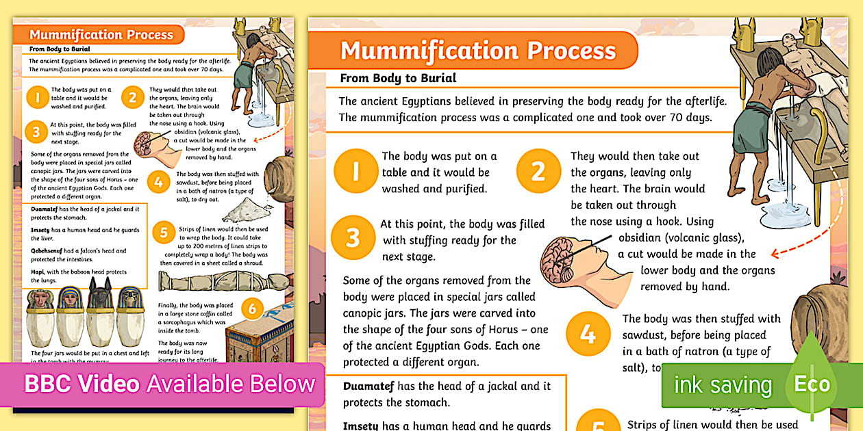 FREE! - Ancient Egyptians Mummification Pictures - BBC Teach Video