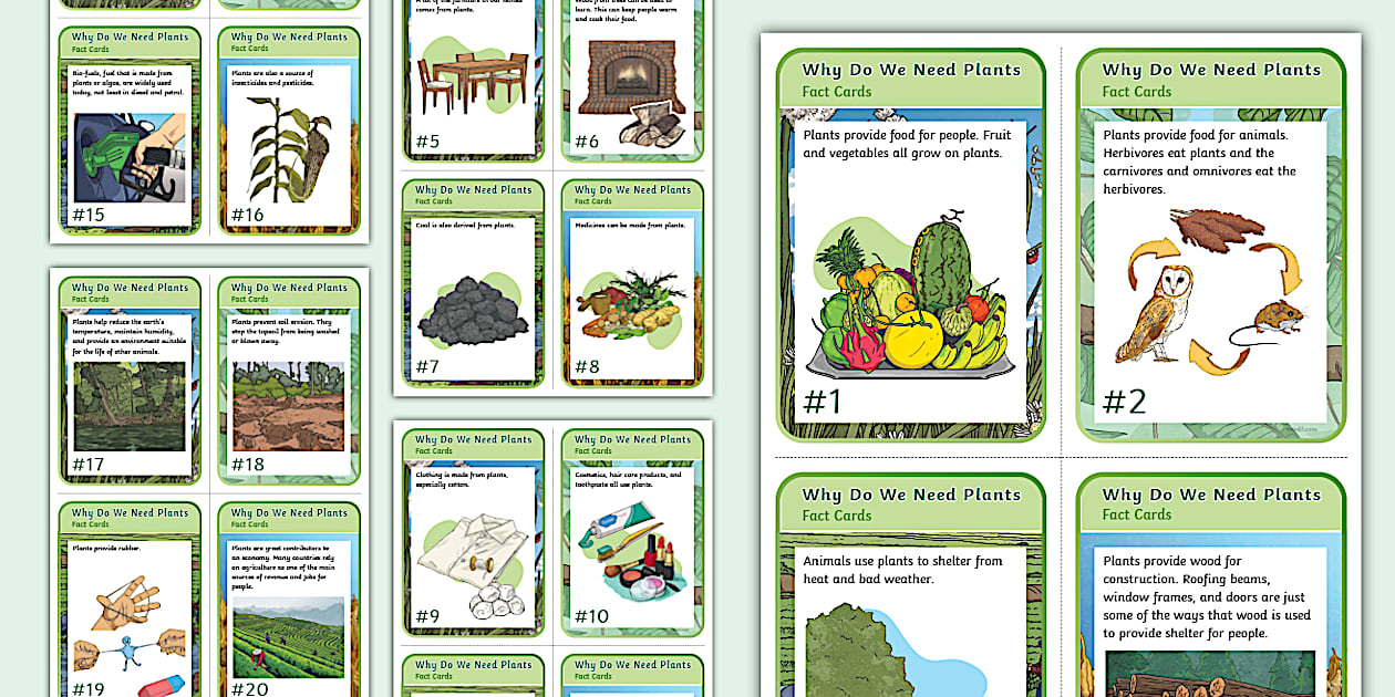 Why Do We Need Plants? - Fact Cards - Twinkl