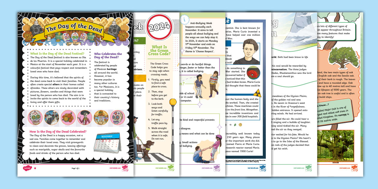 LKS2 November Differentiated Reading Comprehension Activity Pack