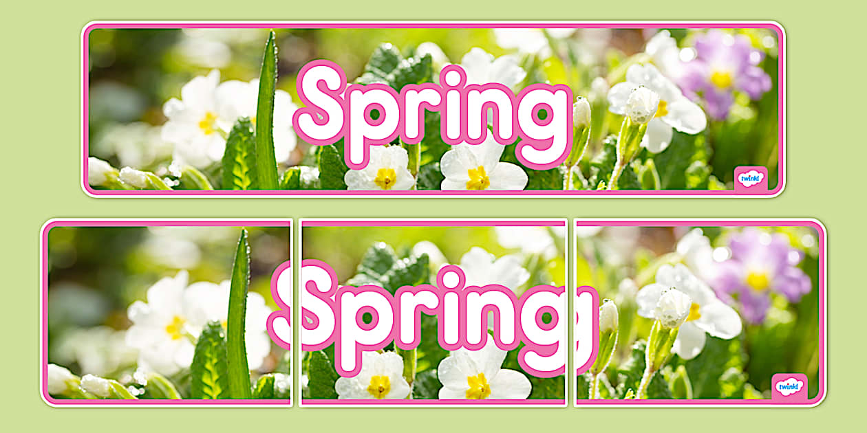 Spring Banner for Bulletin Board Displays | Twinkl USA