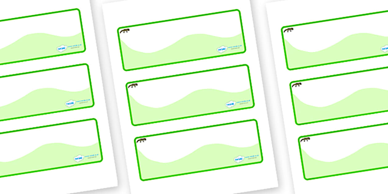 Newt Themed Editable Drawer-Peg-Name Labels (Colourful)