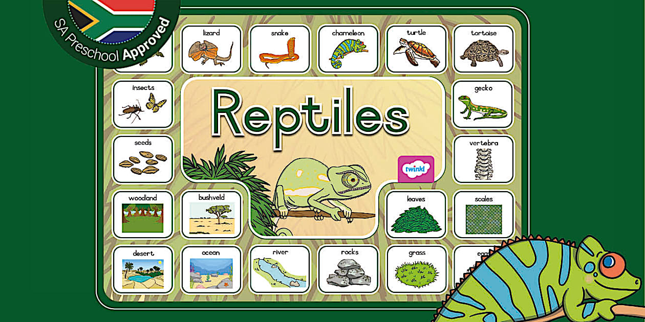 Reptiles: Communication Mat (teacher made) - Twinkl