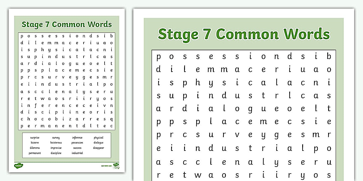Stage 7 Common Words Word Search (creat de profesori)