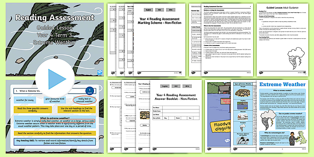 Year 4 Term 3 Non-Fiction Reading Assessment Guided Lesson Teaching Pack