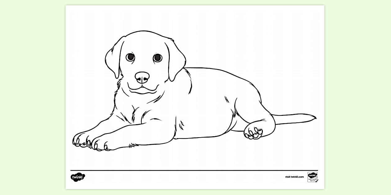 Puppy Colouring Page | Colouring Sheets (teacher made)