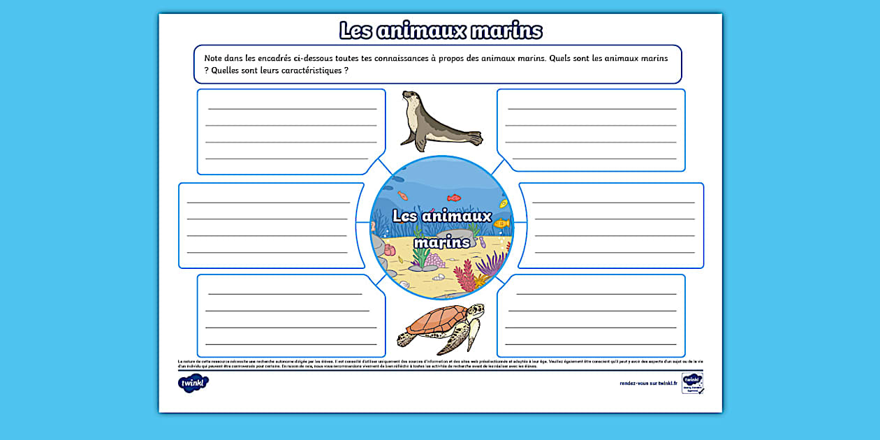 Carte mentale : Les animaux marins - Twinkl