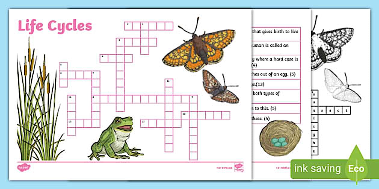 KS2 Science - Life Cycles - Crossword (teacher made)