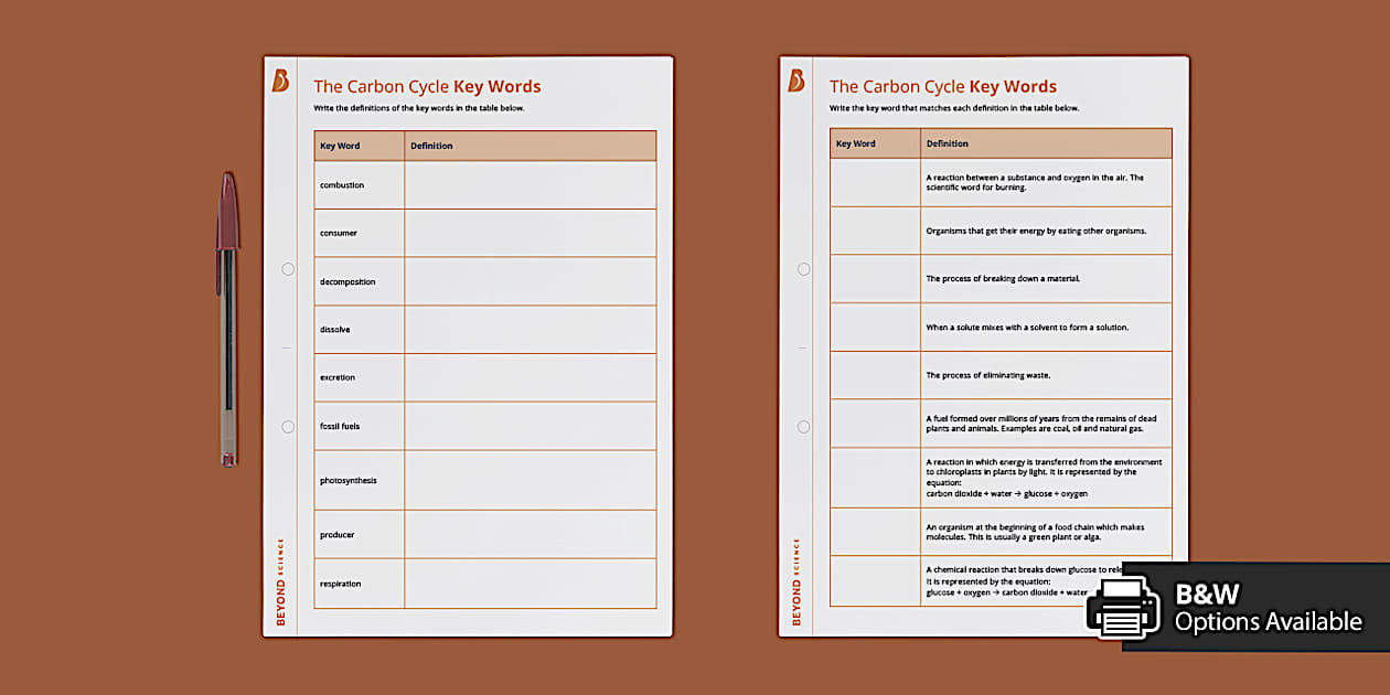 Carbon Cycle Key Words | Beyond Science