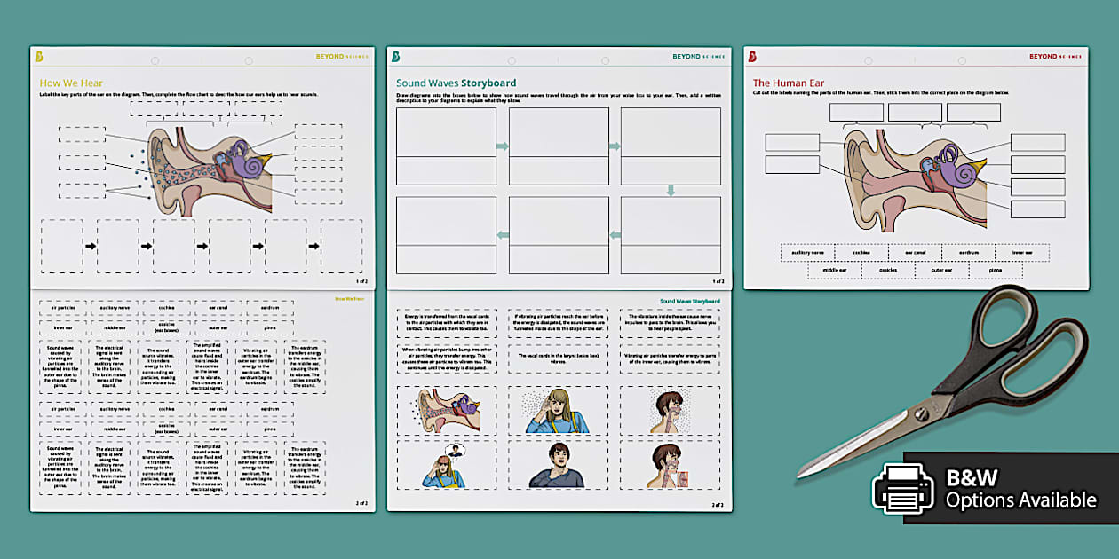 KS3 Sound Waves Cut and Stick Resource Pack (teacher made)