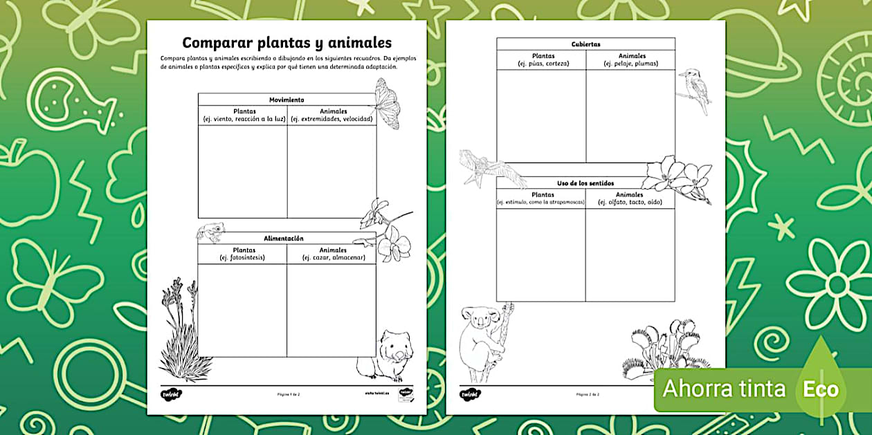 Ficha de actividad: Comparar plantas y animales - Adaptaciones