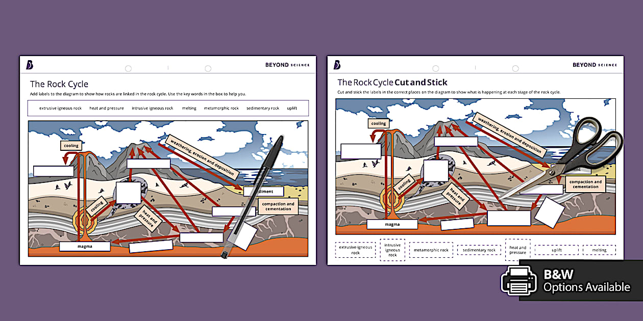 Rock Cycle Worksheet Label The Diagram With Answers - Beyond
