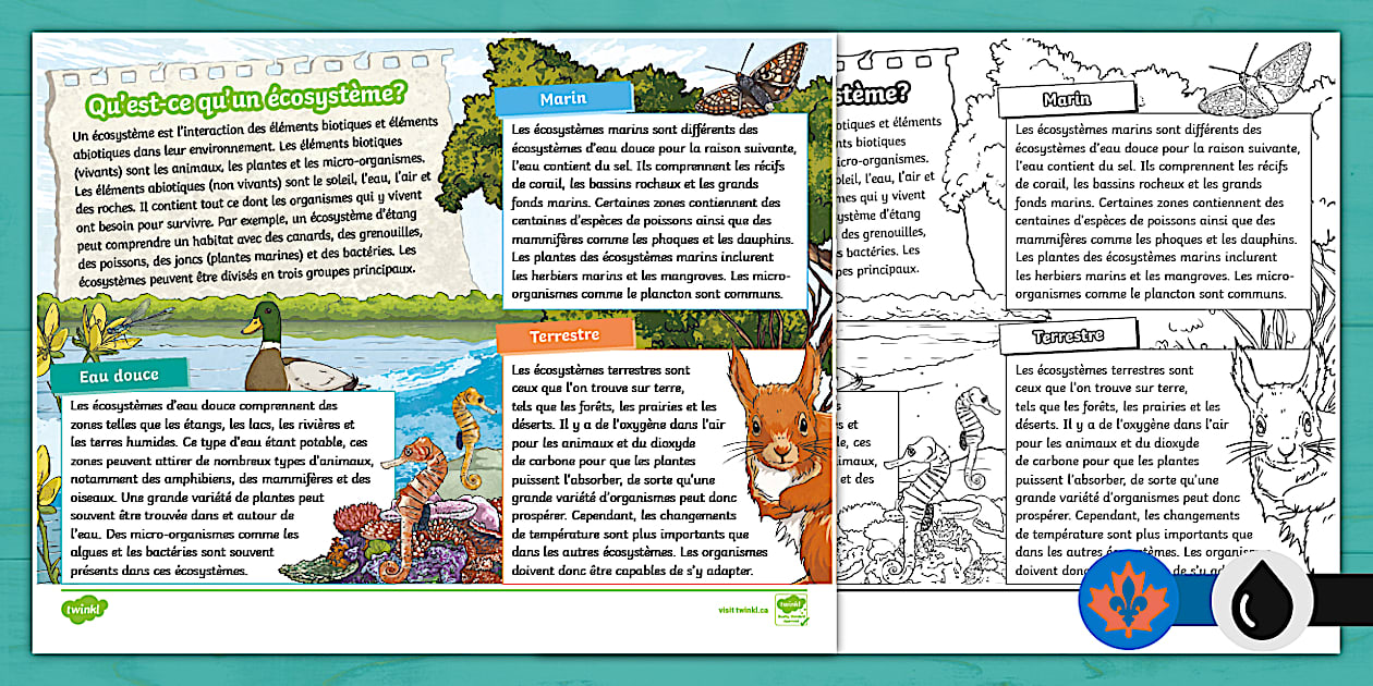 Types of Ecosystems Worksheet I Ecosystems Fact File French