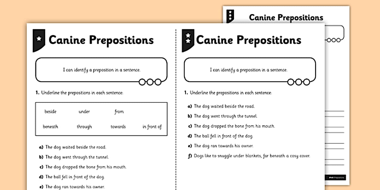 Canine Prepositions Differentiated Worksheet / Worksheet Pack