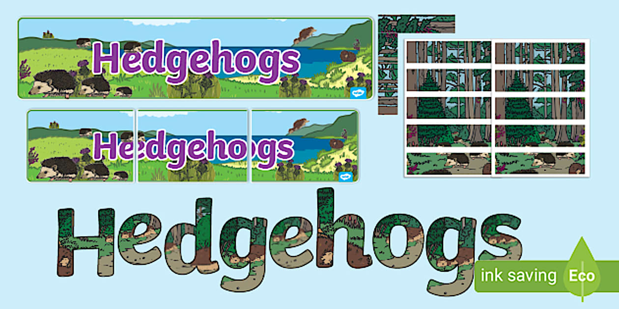 Hedgehog Resources – Classroom Display Pack (teacher made)