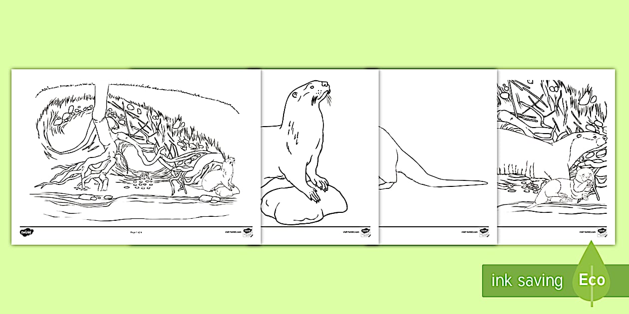Otter Coloring Pages (Teacher-Made) - Twinkl